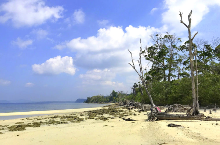 20 Havelock Island photos that will give you serious wanderlust
