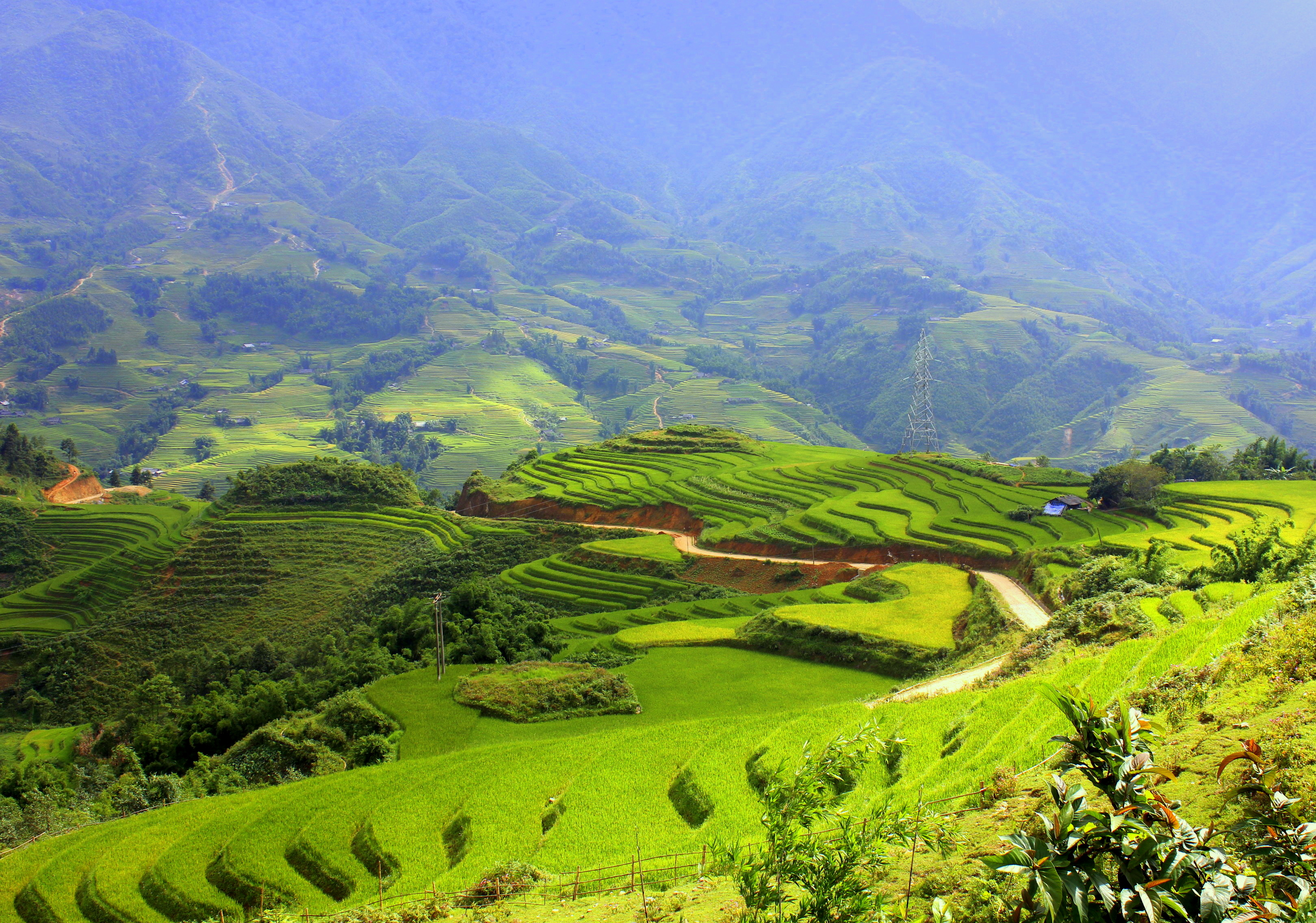 Sa Pa travel guide: How to enjoy Sa Pa without trekking