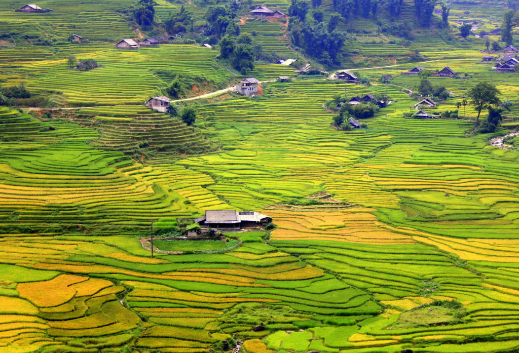 Sa Pa travel guide: How to enjoy Sa Pa without trekking