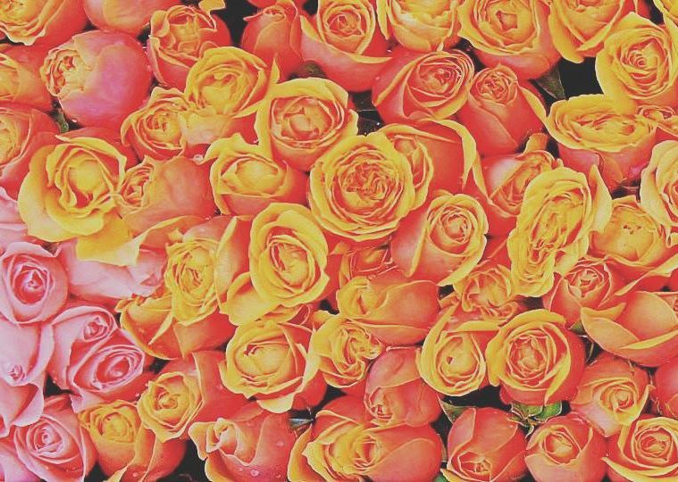 Maverickbird: Travel, Food, Culture, and Expat Lifestyle Blog